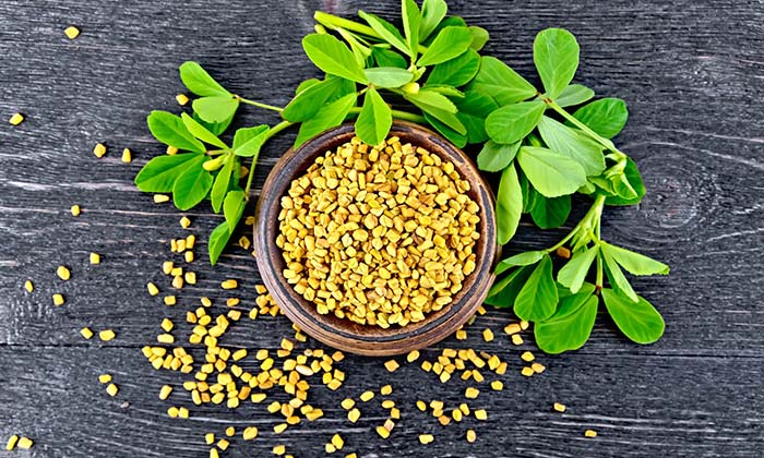 Paneer Ke Phool: Nature's Cure for Blood Sugar Control - Dr. Brahmanand ...